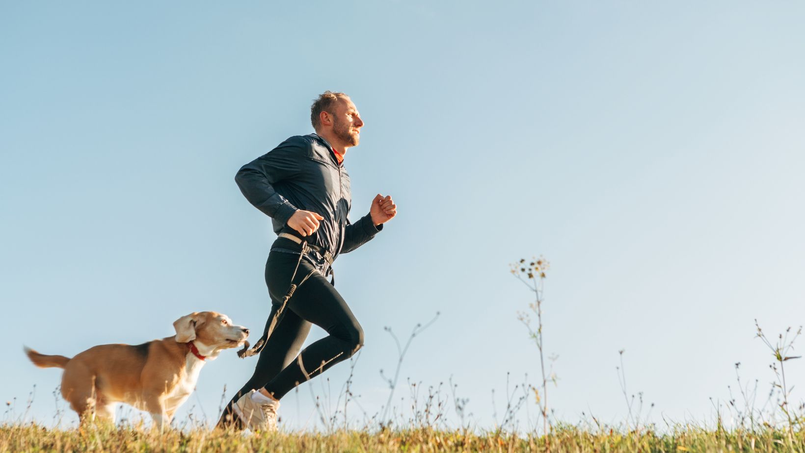 Pourquoi courir avec son chien ? Les avantages du canicross - Cani-cross.fr